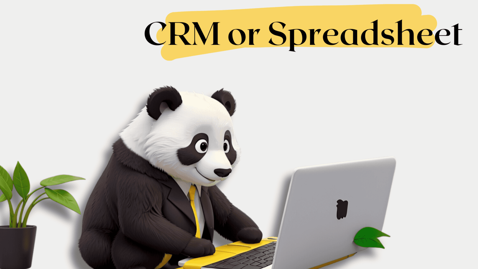 Decoding CRM and Spreadsheets: The Entrepreneur's Choice | IT Solutions Solved